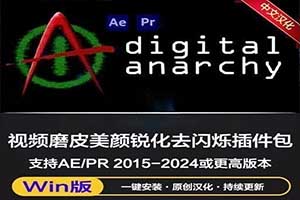 中文汉化版AE/PR插件|Digital Anarchy bundle 2023.9 Win一键安装（含Beauty Box/Flicker Free/Samurai Sharpen）-后生 ...