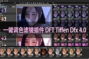 专业一键调色滤镜插件 DFT Tiffen Dfx 4.08 Win汉化版 内置上千种调色特效-后生视觉设计资源网